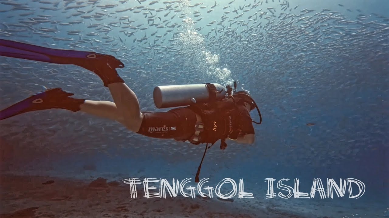[ilike R&R] -Tenggol Island #OW #AOW #LA #HReef #Rajawali #TurtlePoint ...
