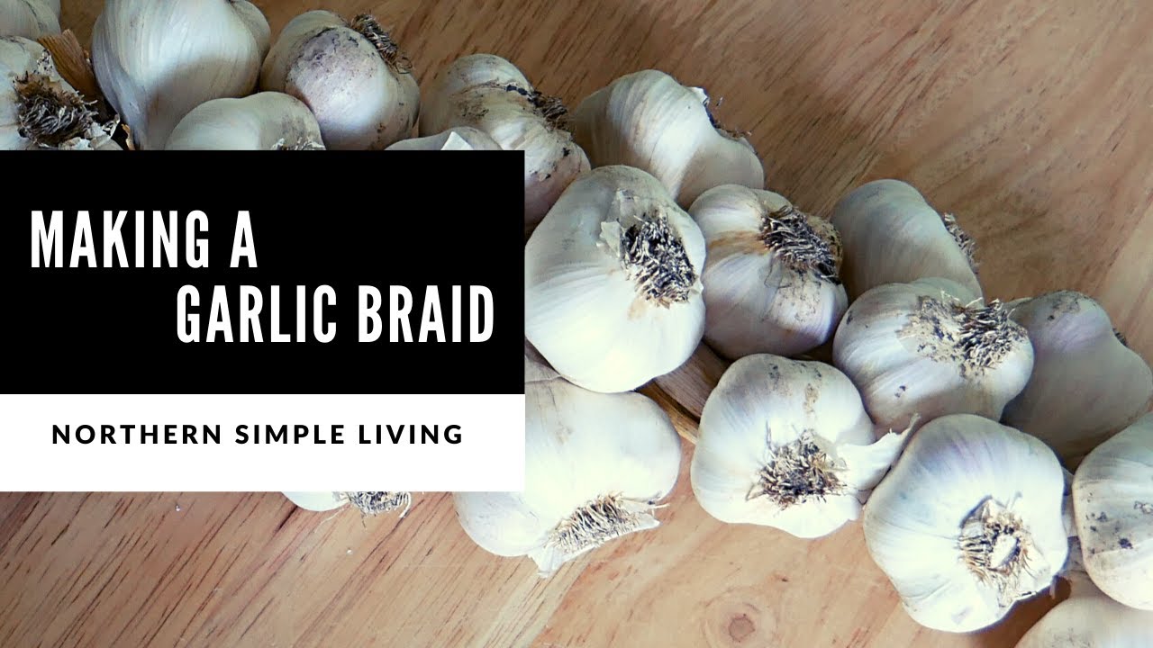 Making a Garlic Braid - YouTube