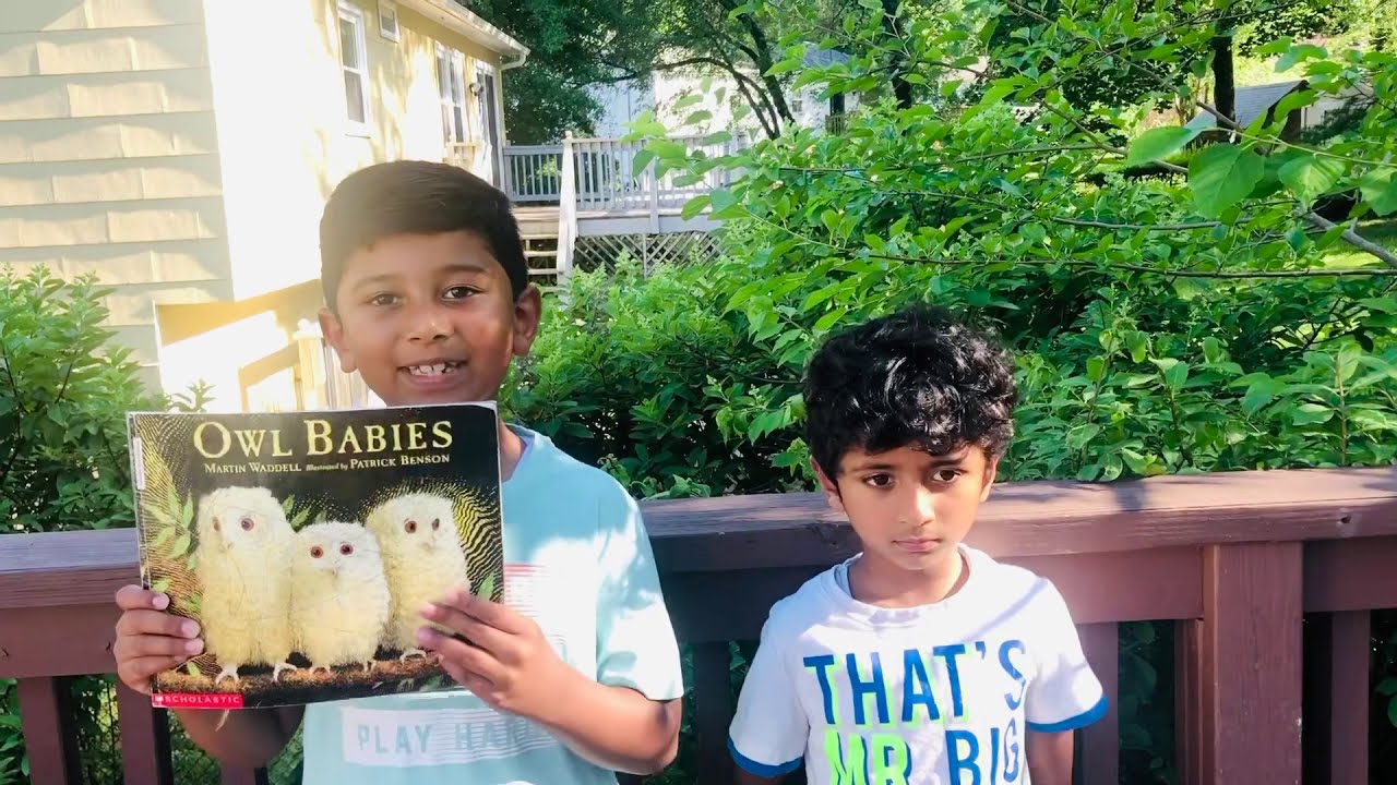 OWL BABIES Written by Martin Waddell & Illustrated by Patrick Benson ...