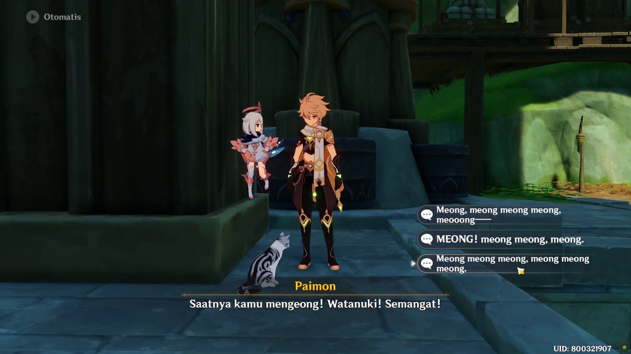 Genshin Impact | Daily Quest - Meong... Meong Meong? Meong! Meong ...