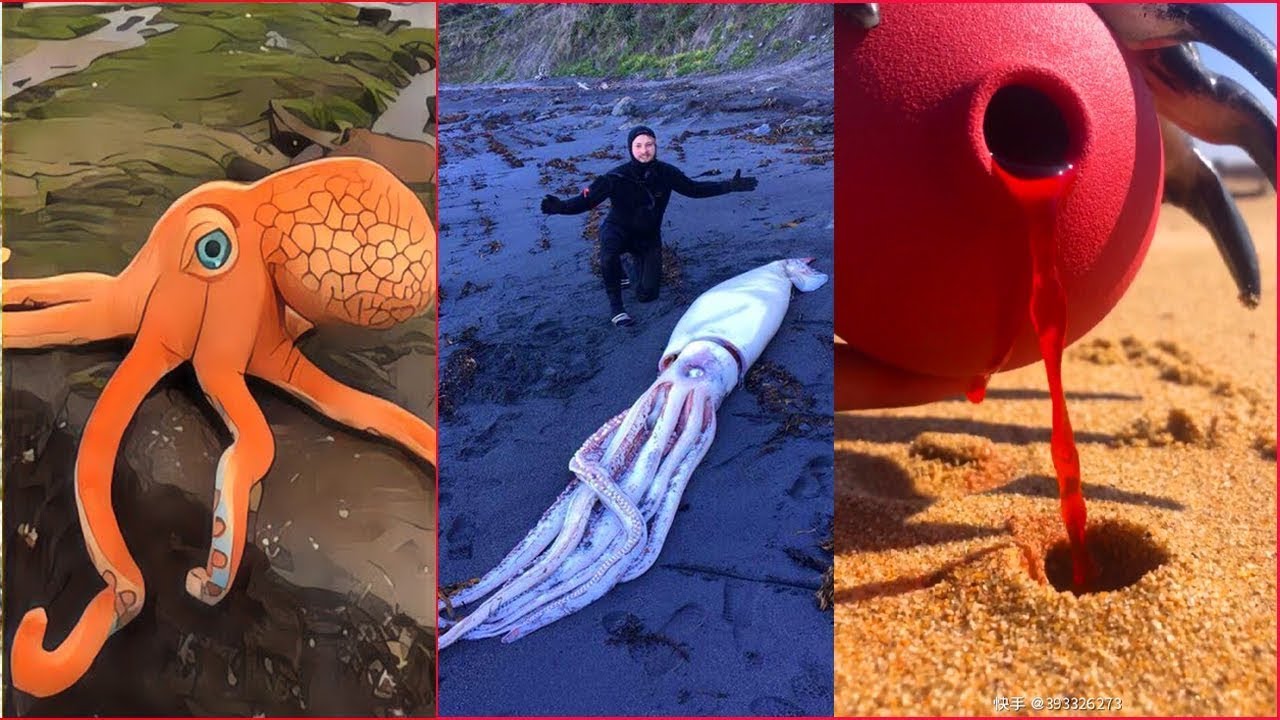 Catching Seafood 🦀🐙 ASMR Relaxing Catch Shark , Catch Fish ,Deep Sea ...