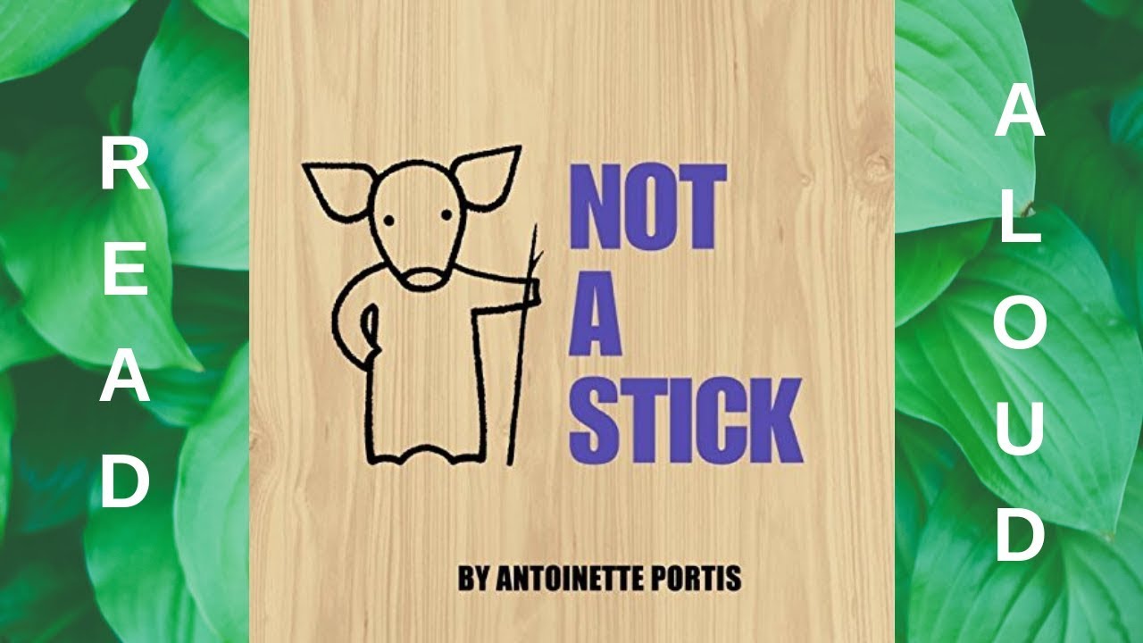 Read Aloud: Not a Stick by Antoinette Portis - YouTube