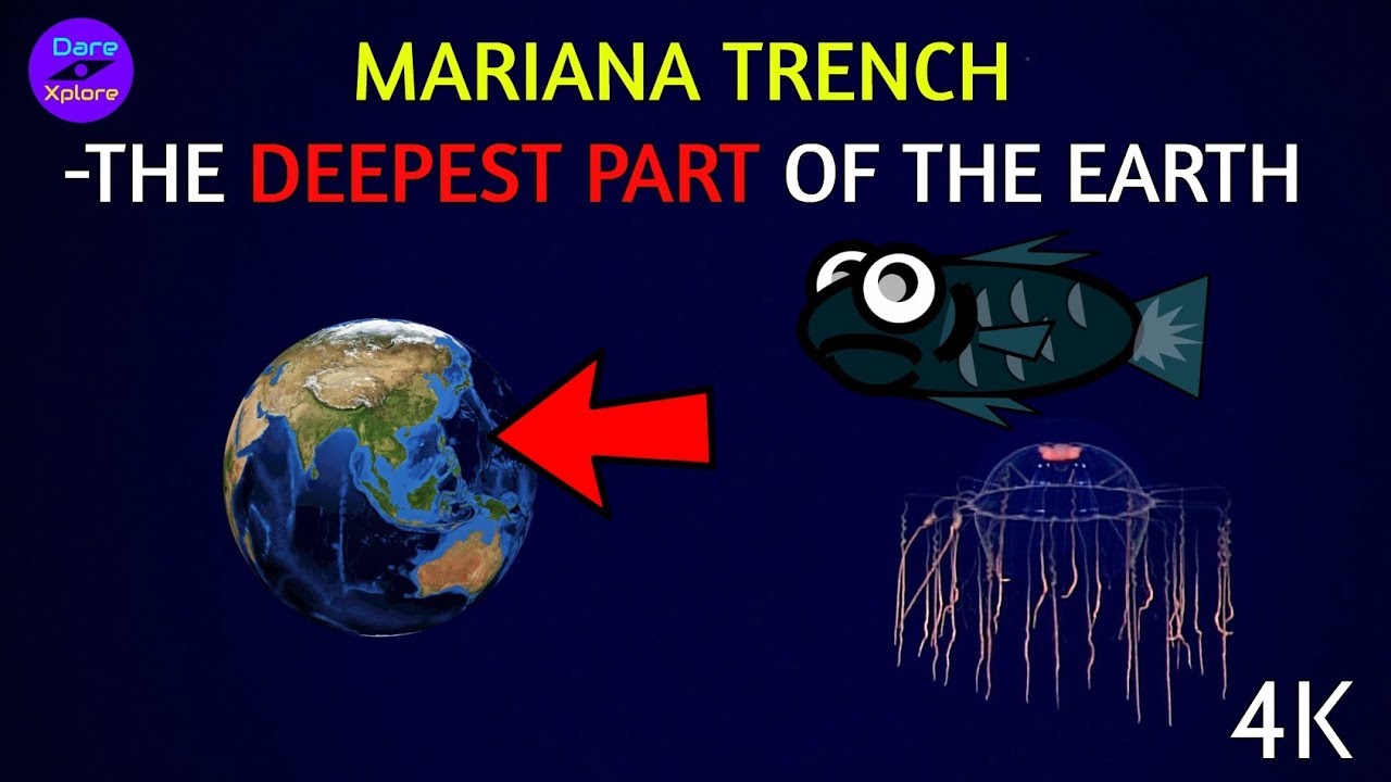 The Deepest Part of the Earth? | Mariana Trench | 4k - YouTube