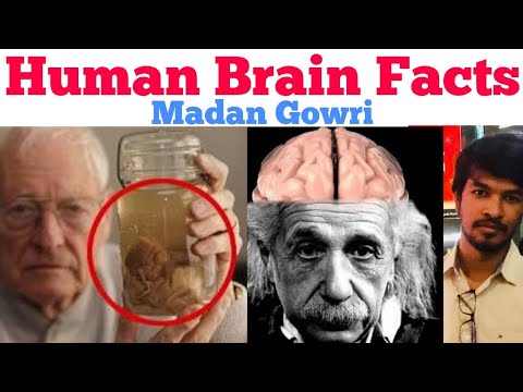 Human Brain Facts | Tamil | Madan Gowri | MG - YouTube
