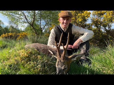 Bukkejagt i Skotland - Roebuck hunting in Scotland - Bockjagd in ...