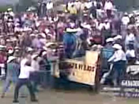 toro el Catrin - YouTube