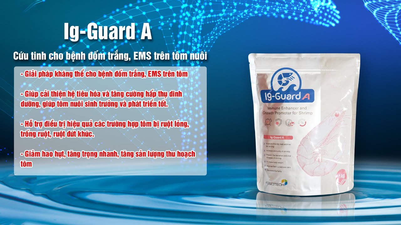 🦐 IG GUARD A - Cứu tinh cho bệnh đốm trắng, EMS trên tôm nuôi. - YouTube