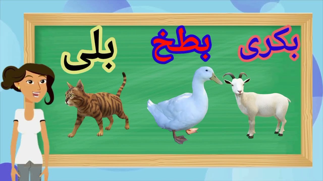 learn alif bay pay urdu alphabet/urdu alphabet phonics sound/alif se ...