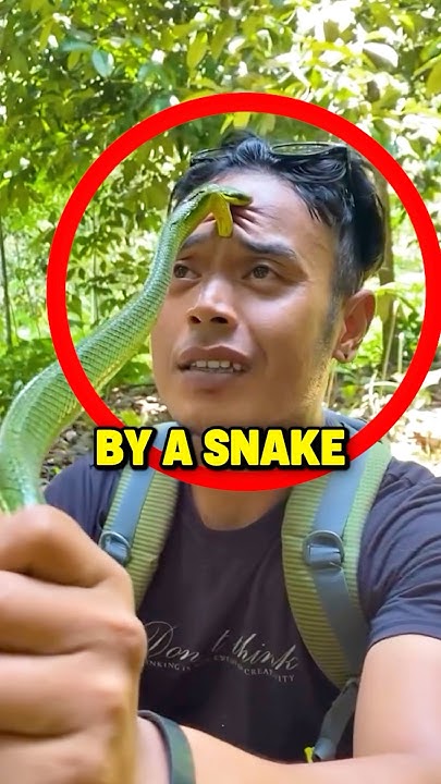 How to Survive Snake Attack! 🐍 - YouTube