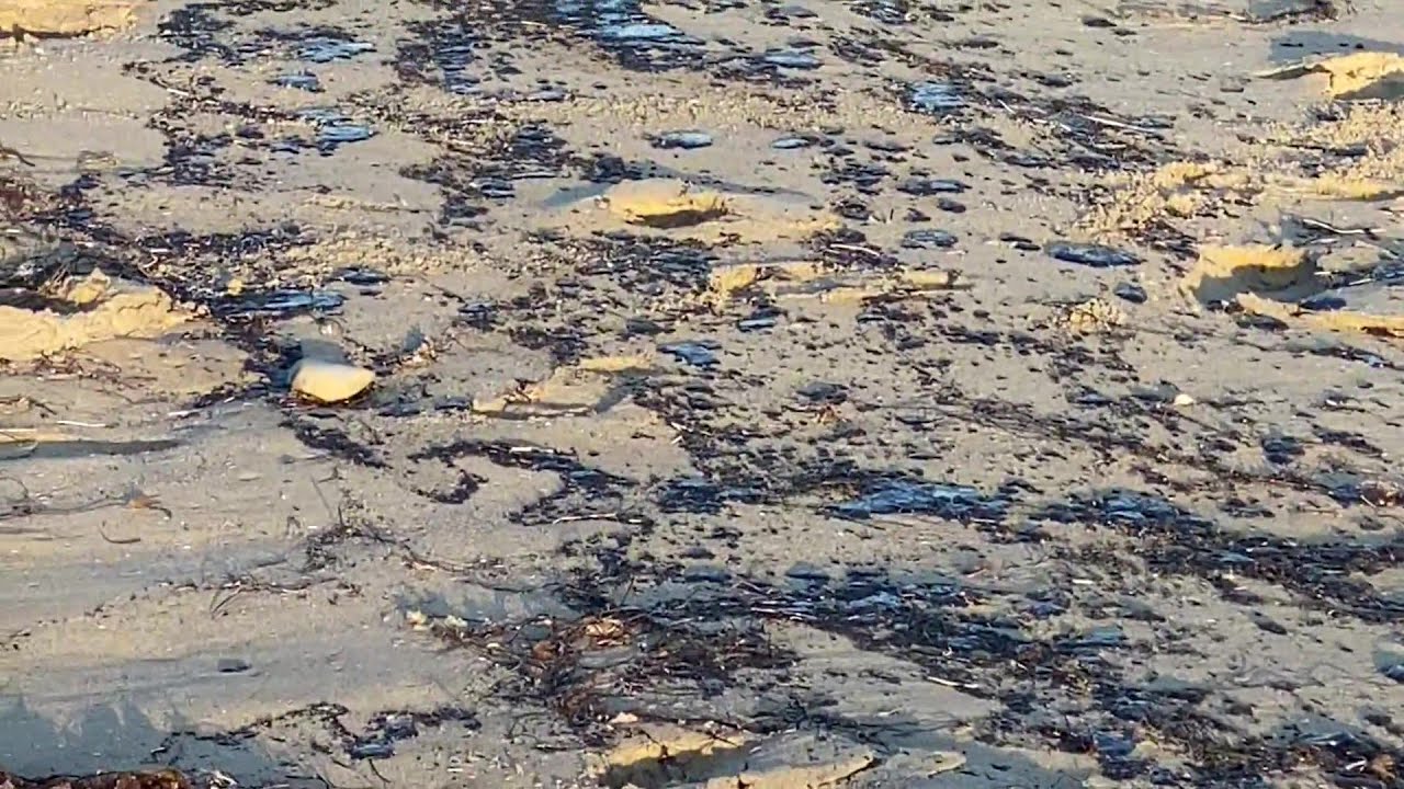 Oil and tar increasing on some beaches - YouTube