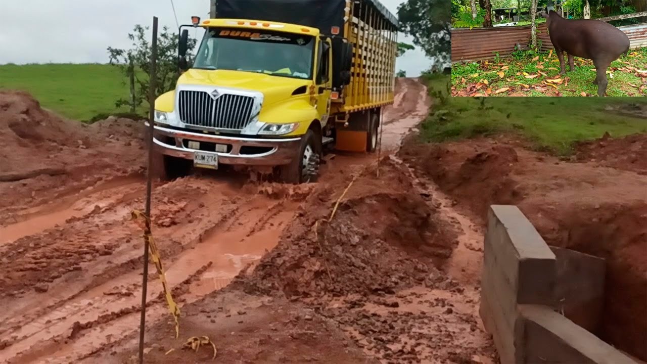 Llega la lluvia⛈ y con ella las TROCHAS caqueteñas😱⚠️vía Playa Rica ...