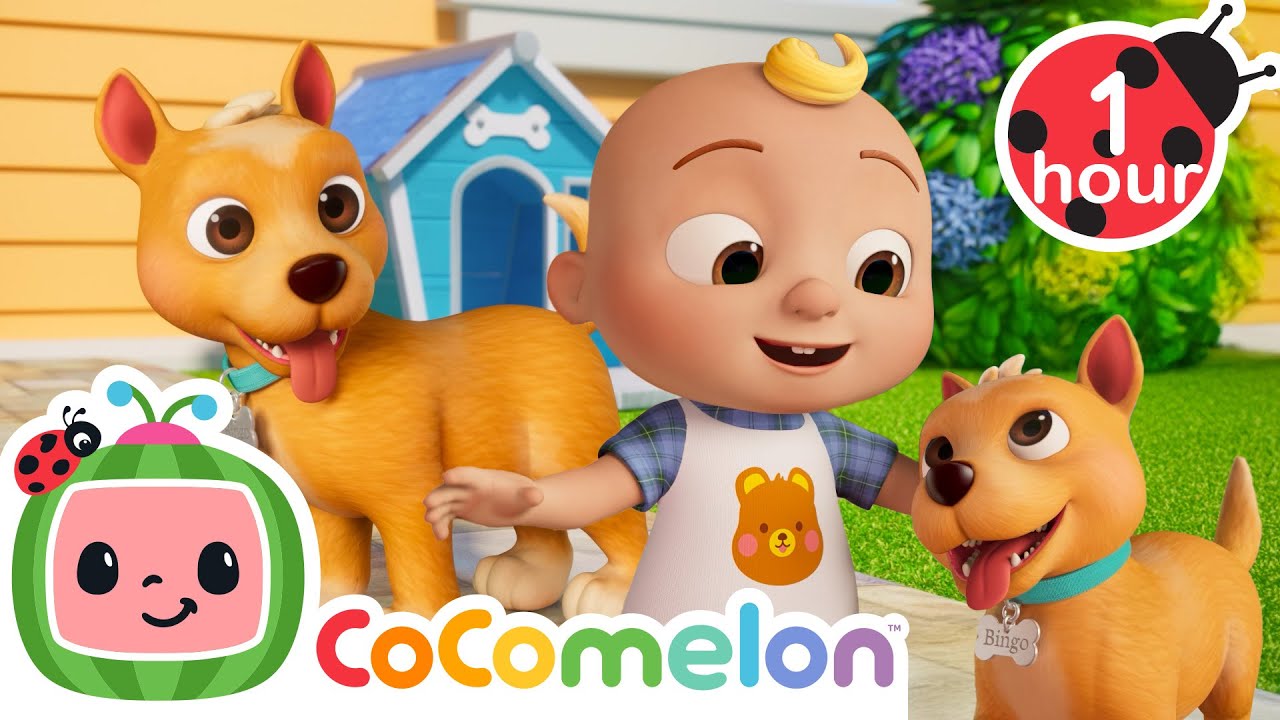 Let's Sing the B.I.N.G.O. Song! 🐶 Best Animal Videos for Kids | Kids ...