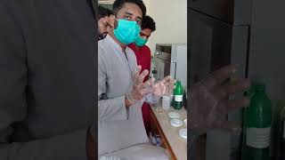 Allelopathic Root and shoot extract of Parthenium on Maize and Castorbean