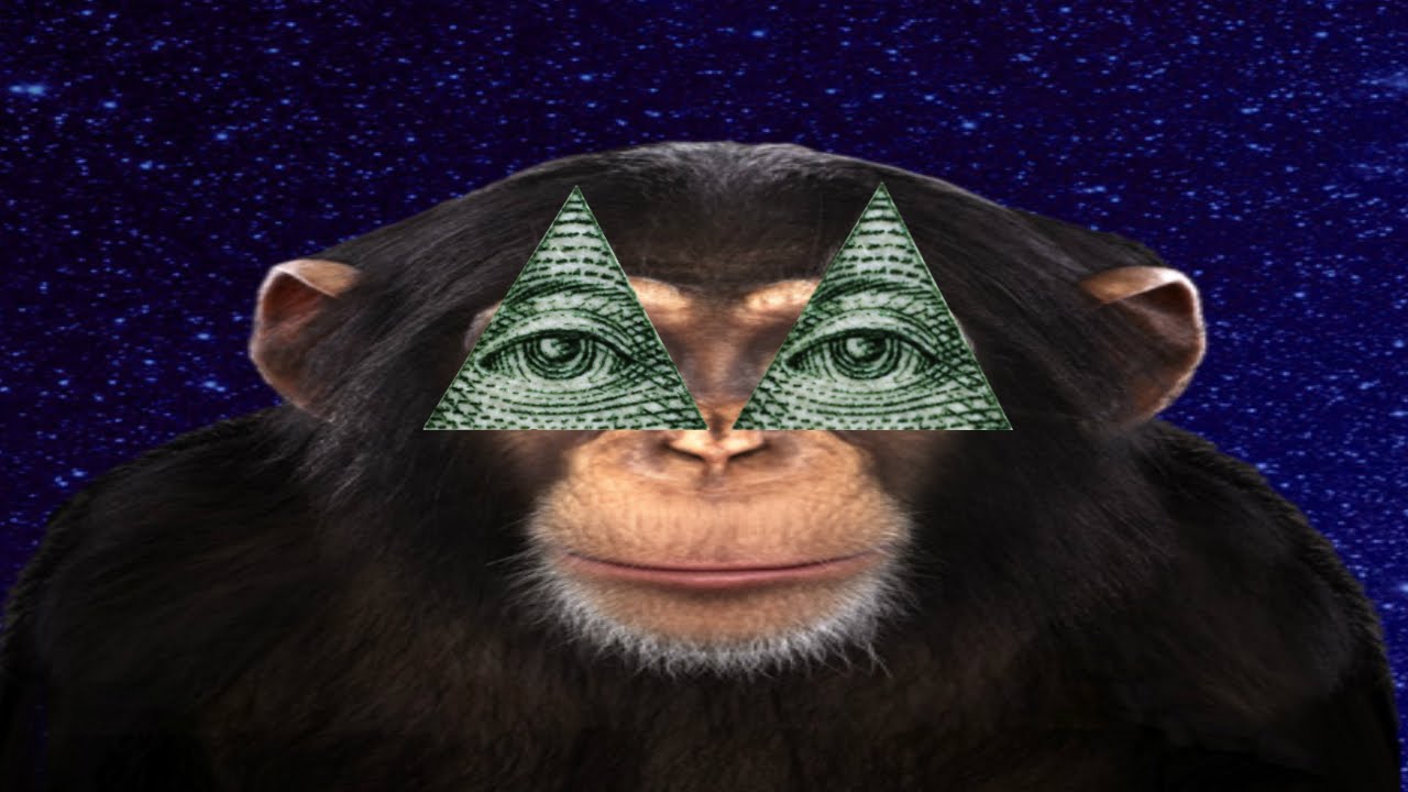 ChimBot | YOU CHIMP ME HUMAN - YouTube