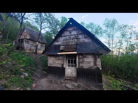 10 Ay Medeniyetsiz - Gelecek Planlarım