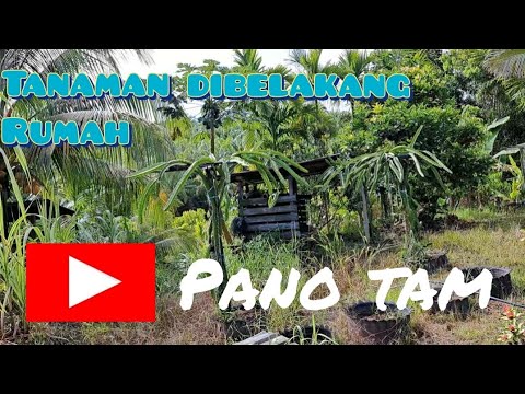 Cuci mata hujung minggu dengan kehijauan tanaman