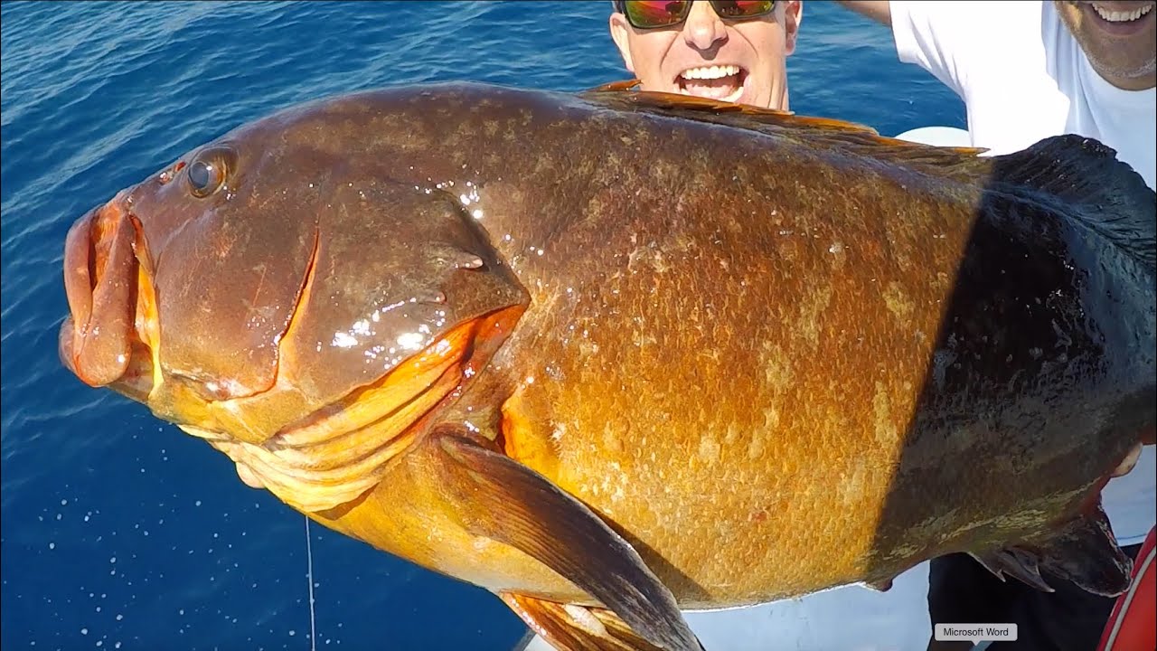 Cercando la cernia BIG! - YouTube