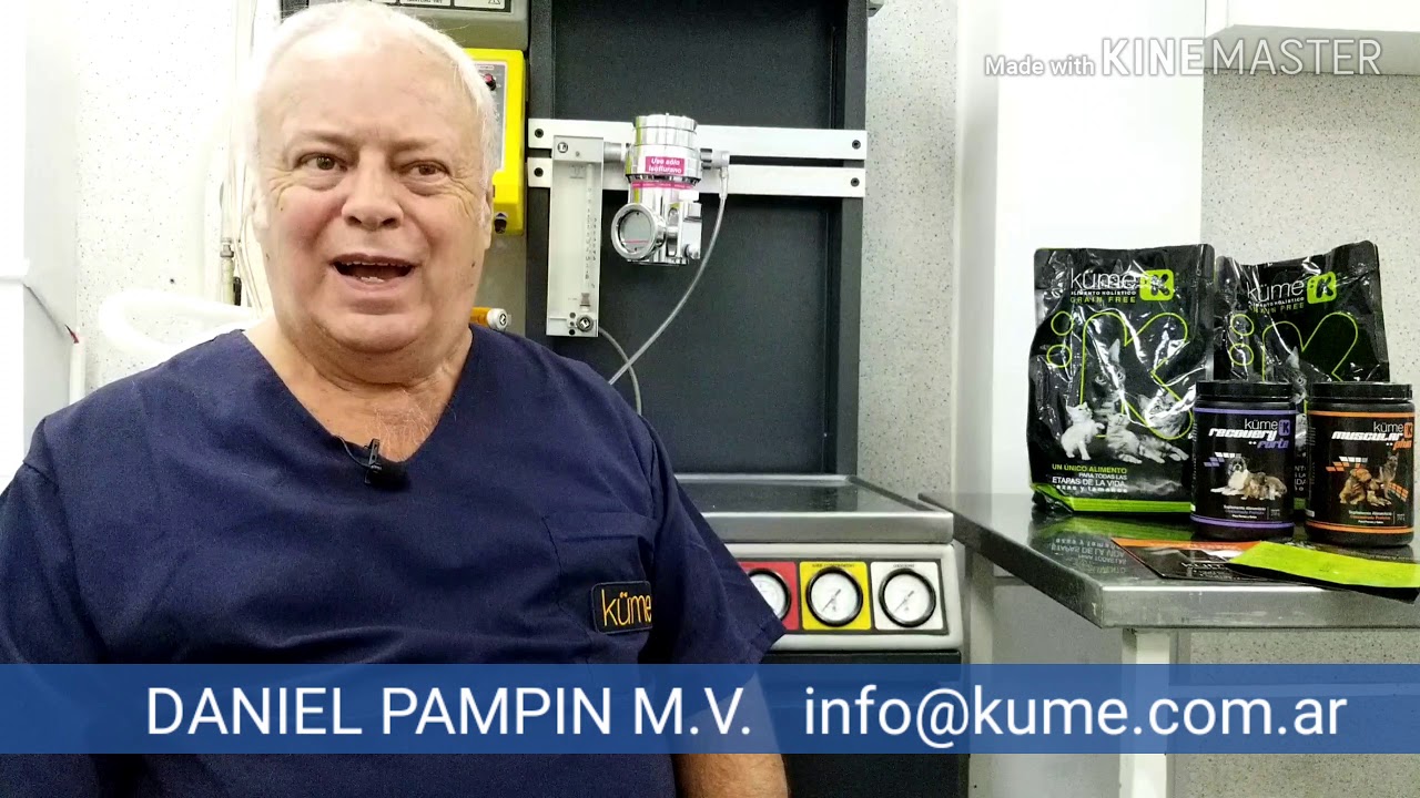 Daniel Pampin. Especialista en Nutrición - YouTube