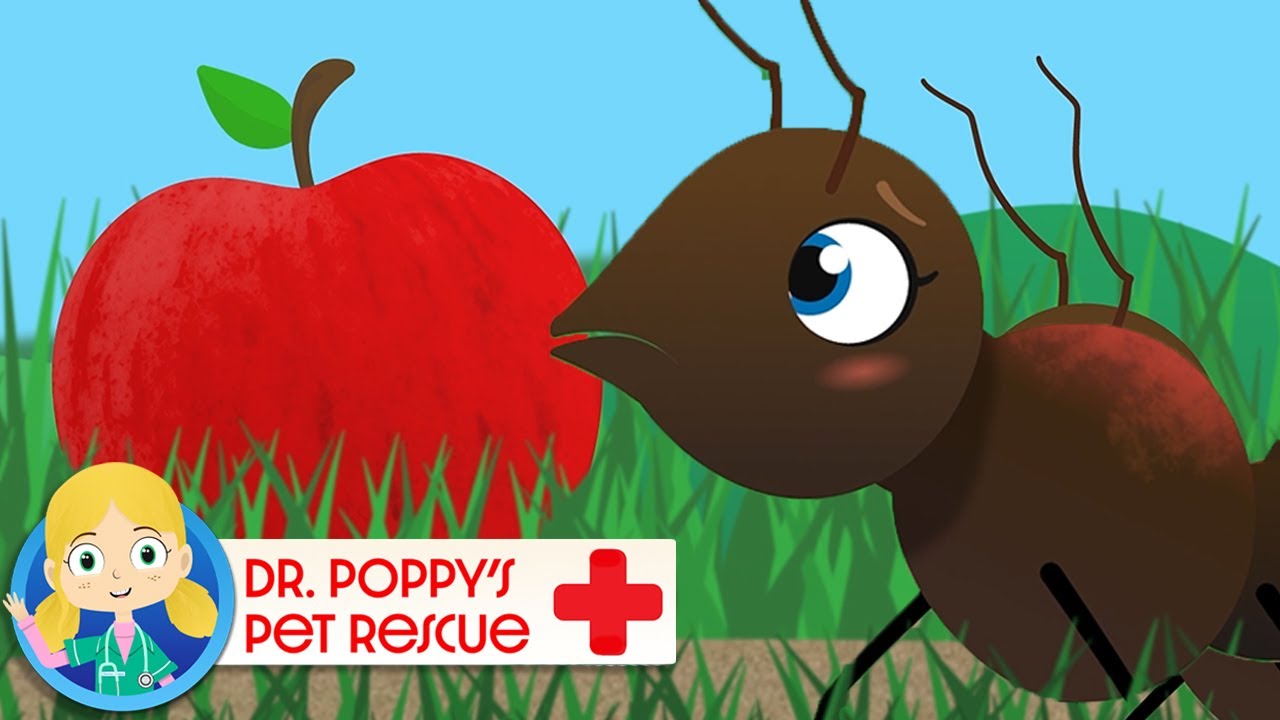 Alice The Ant | Doctor Poppy - Animals For Kids | Cartoon Animals - YouTube