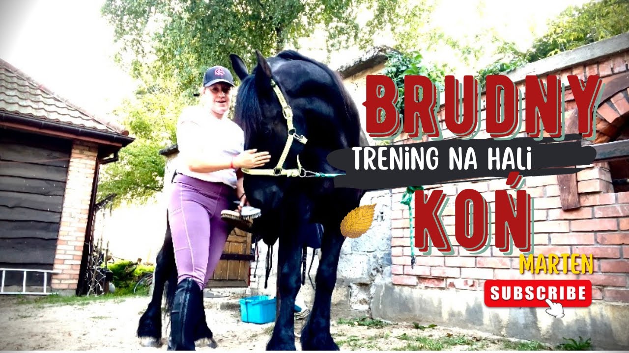 VLOG 2 |Brudas😳 - YouTube