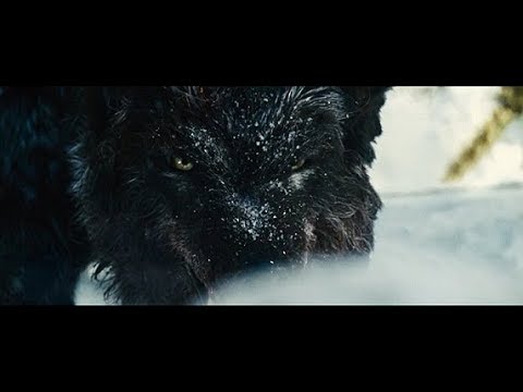 Le Territoire Des Loups - Scène Final - VF HD