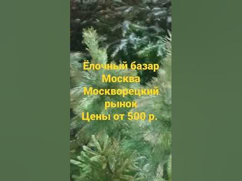 Где купить ëлку в Москве? #новыйгод - YouTube