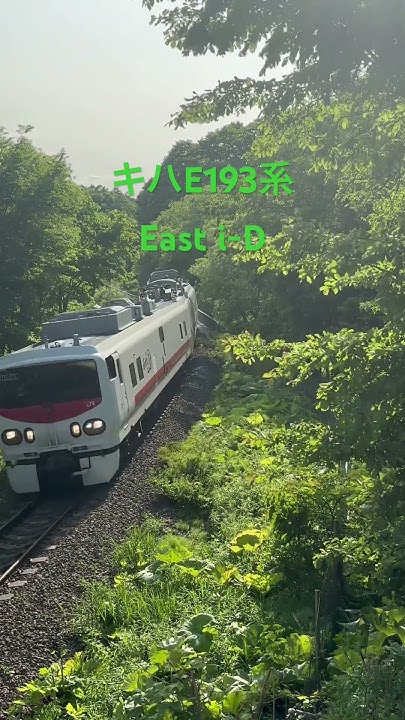 試9675D 石勝線、根室本線検測East i-D キヤE193系(JR東日本) #train #jr北海道 #鉄道 #キヤE193系#East i-D - YouTube