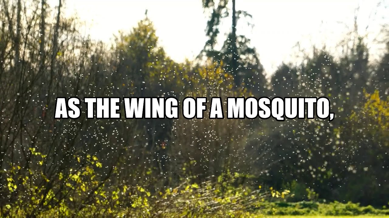 Hadith on Dunya: Worldly life is nearly worthless to Allah - YouTube