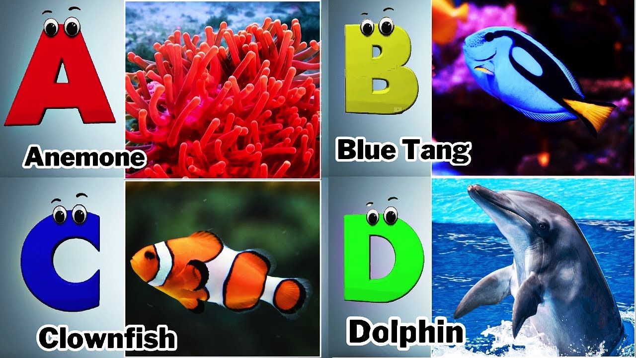 ABC Sea Animals song | Alphabets Kids song | Learn Alphabets, English ...