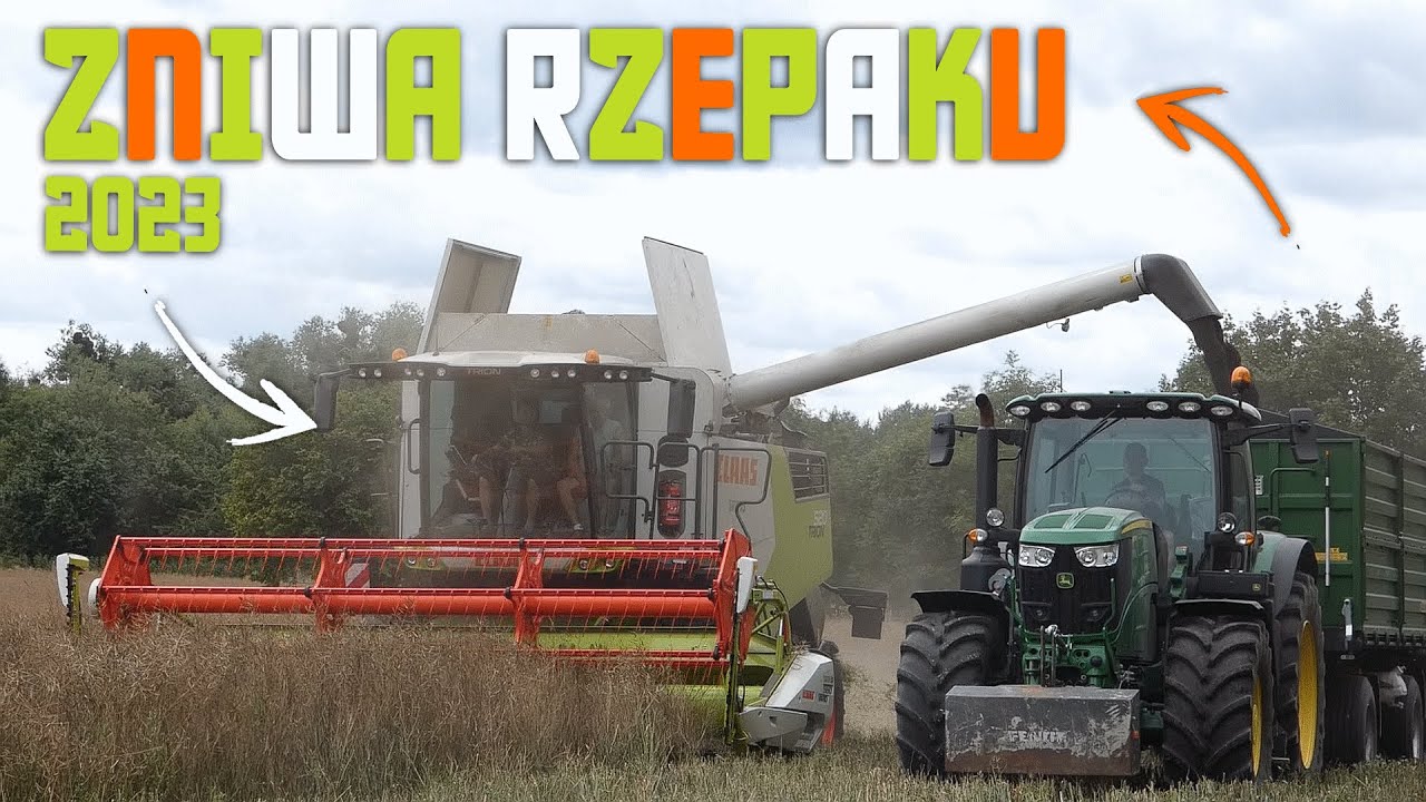Żniwa Rzepaku 2023?! W GR Kierot☆Class Trion 520 i JD w akcji ☆Sypanie ...