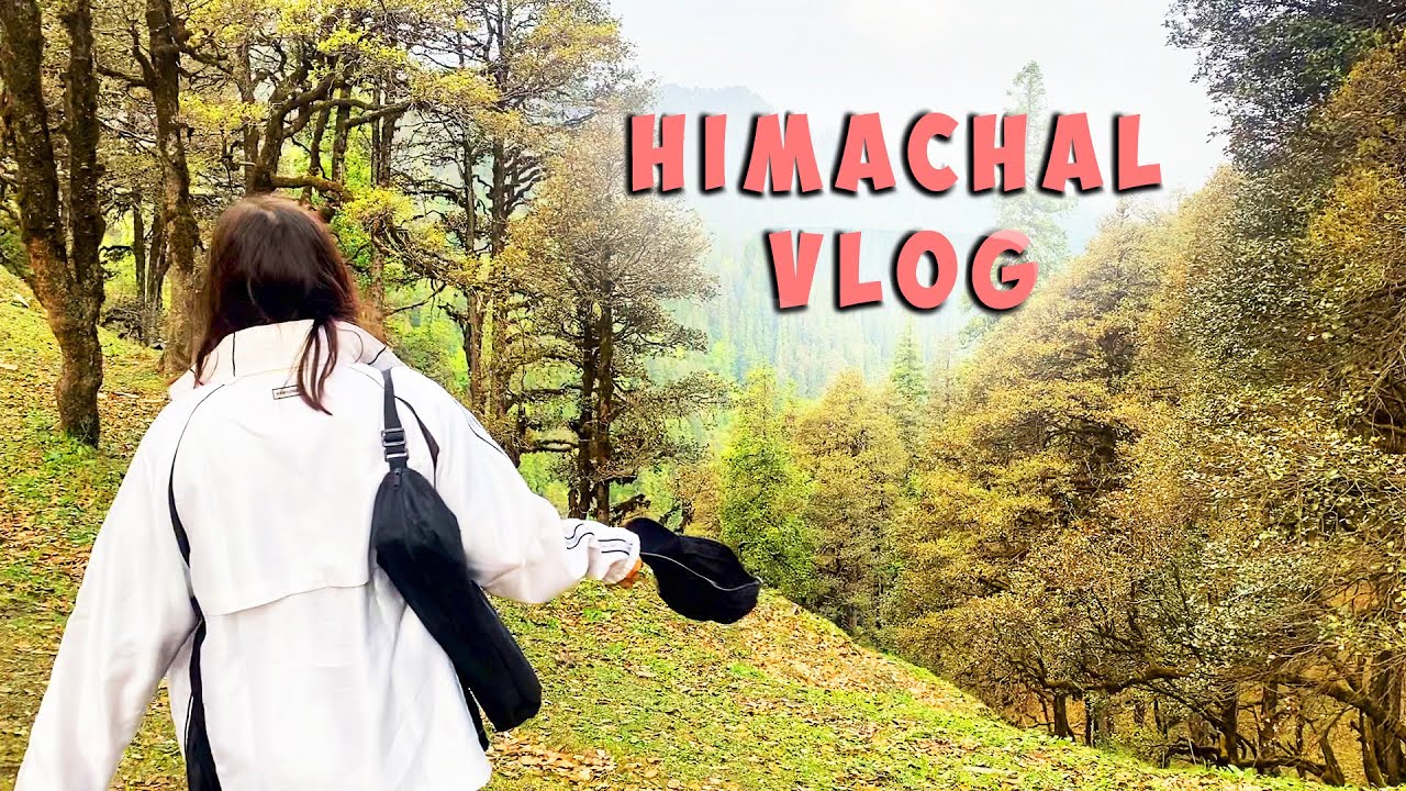 This Place Is So Beautiful | Jibhi, HP Travel Vlog - YouTube