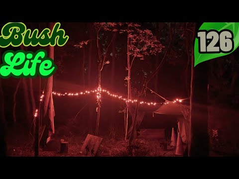 Lost in the Australian bush at night (126) - YouTube