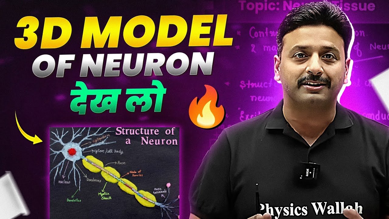 एक बार समझ लो कभी नहीं भूलोगे | Neuron 3D Model | Sujeet Sir @Prachand ...