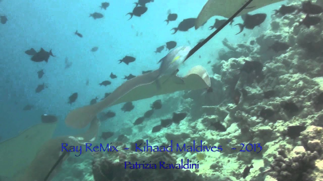 Ray ReMix - YouTube