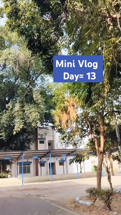 Mini Vlog Day= 13 #trendingshorts #viralshorts #shortvideo #ytshorts #minivlog #viralminivlog ...