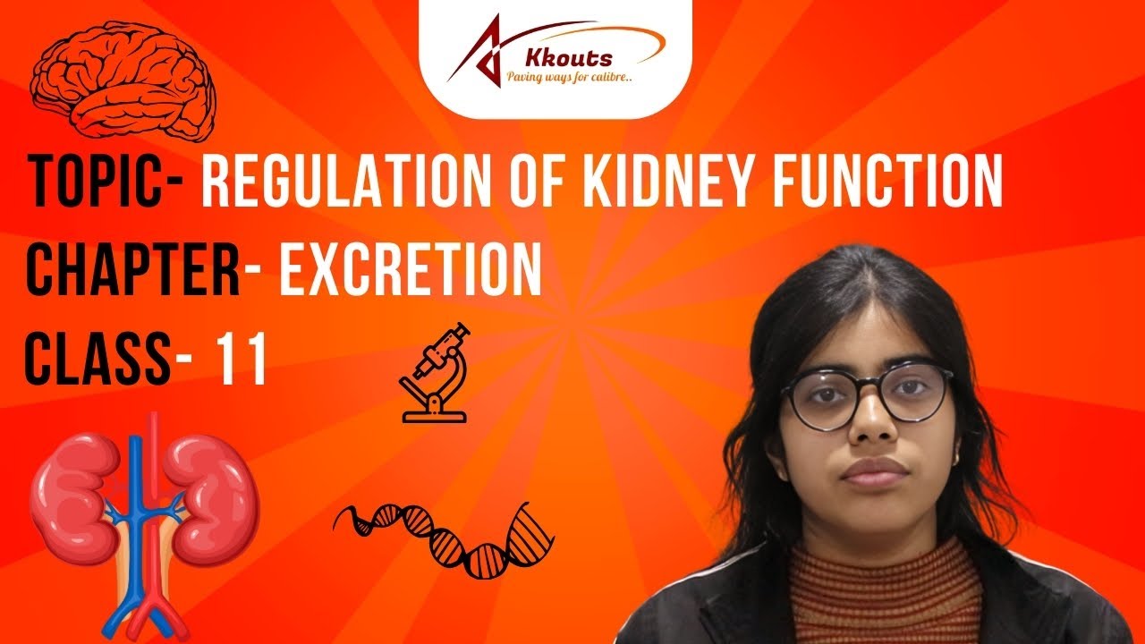 Topic - Regulation of Kidney Function || Class 11th || Chapter ...