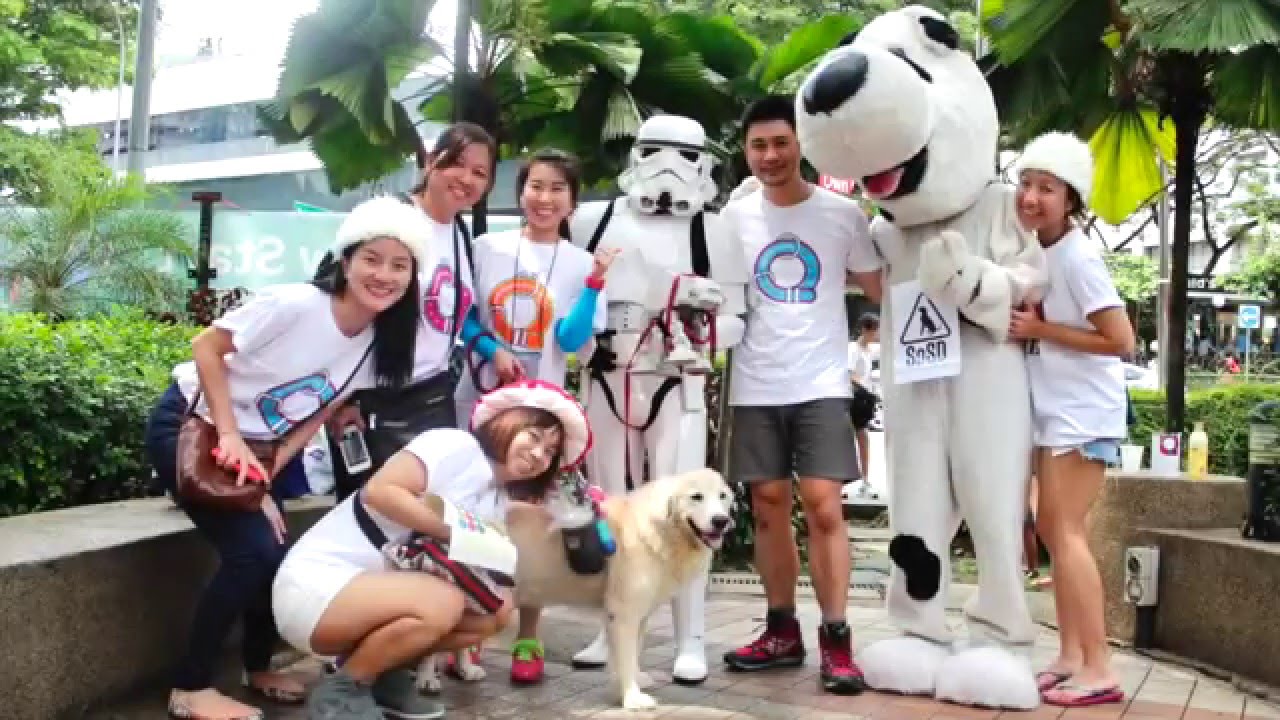 SOSD Flag Day Volunteer Feature: Alfred & Lucky - YouTube