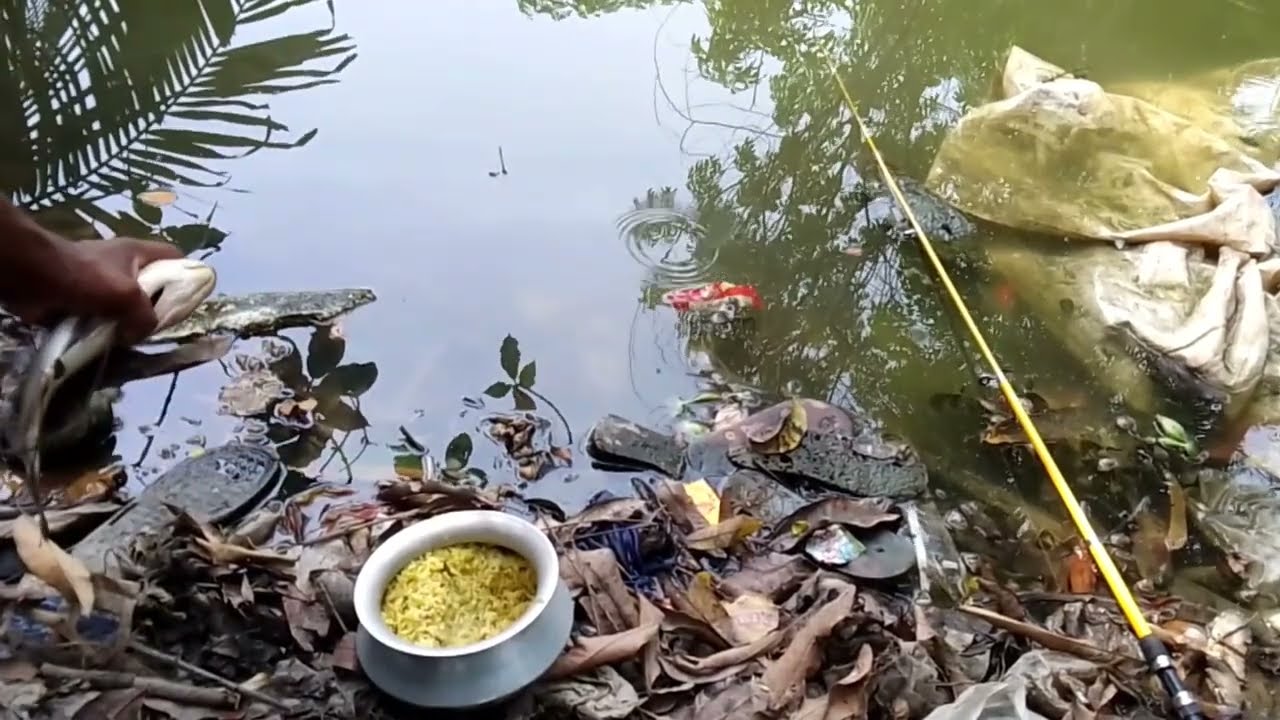 real fishing short. hook fishing video.traditionla fishing life. - YouTube