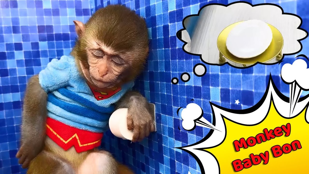 Monkey Baby Bon Bon oes to the toilet and plays with Ducklings in the ...