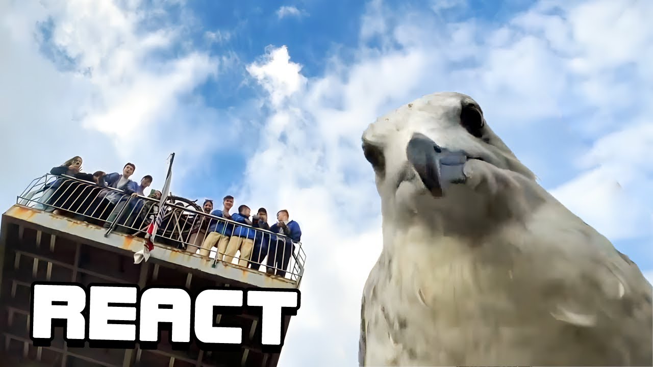 React: UNUSUAL MEMES COMPILATION V291 - YouTube