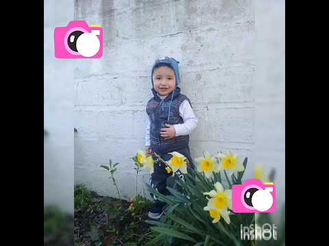 NİLAY😍YASİN MEMMEDZADE