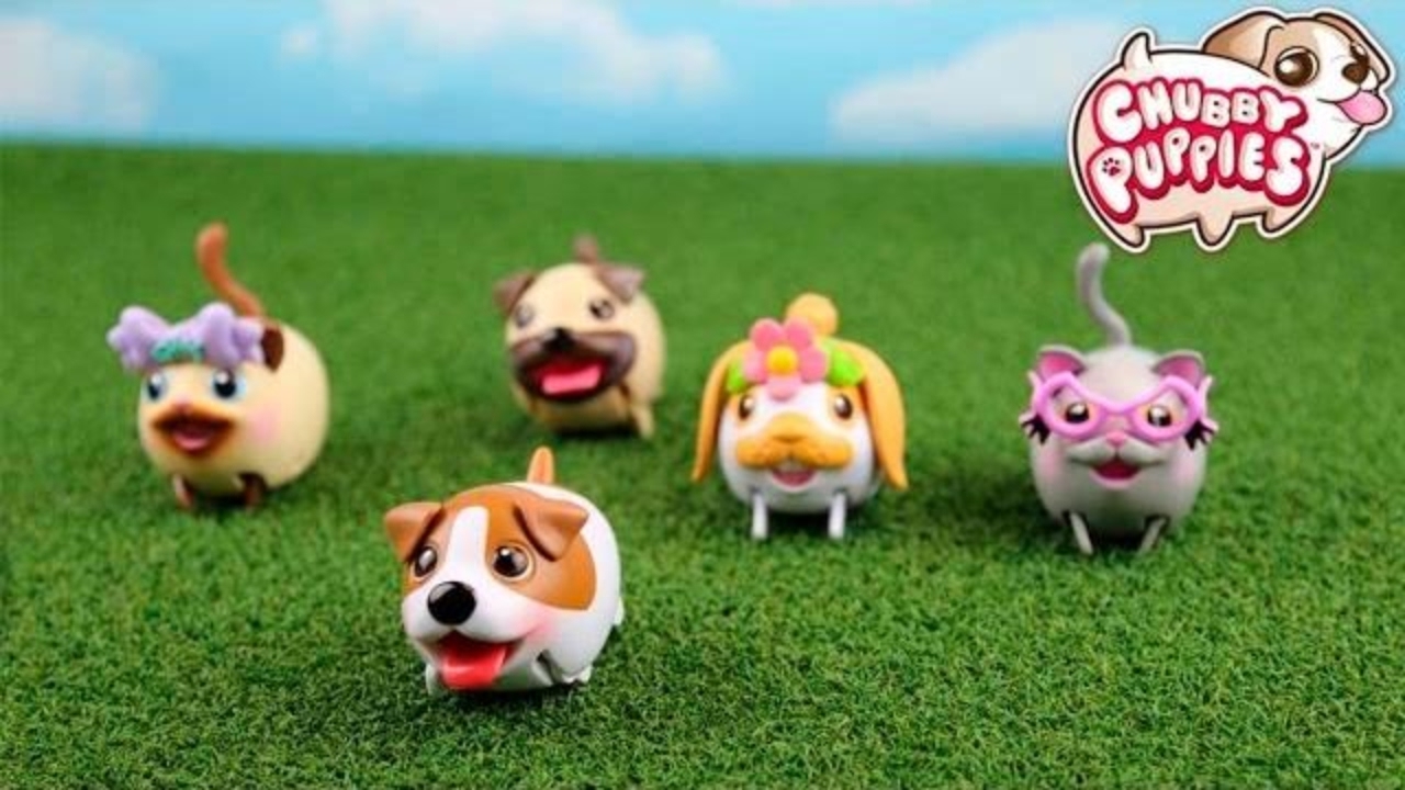 Chubby Puppies and Friends Pet Fun Spin Master - YouTube
