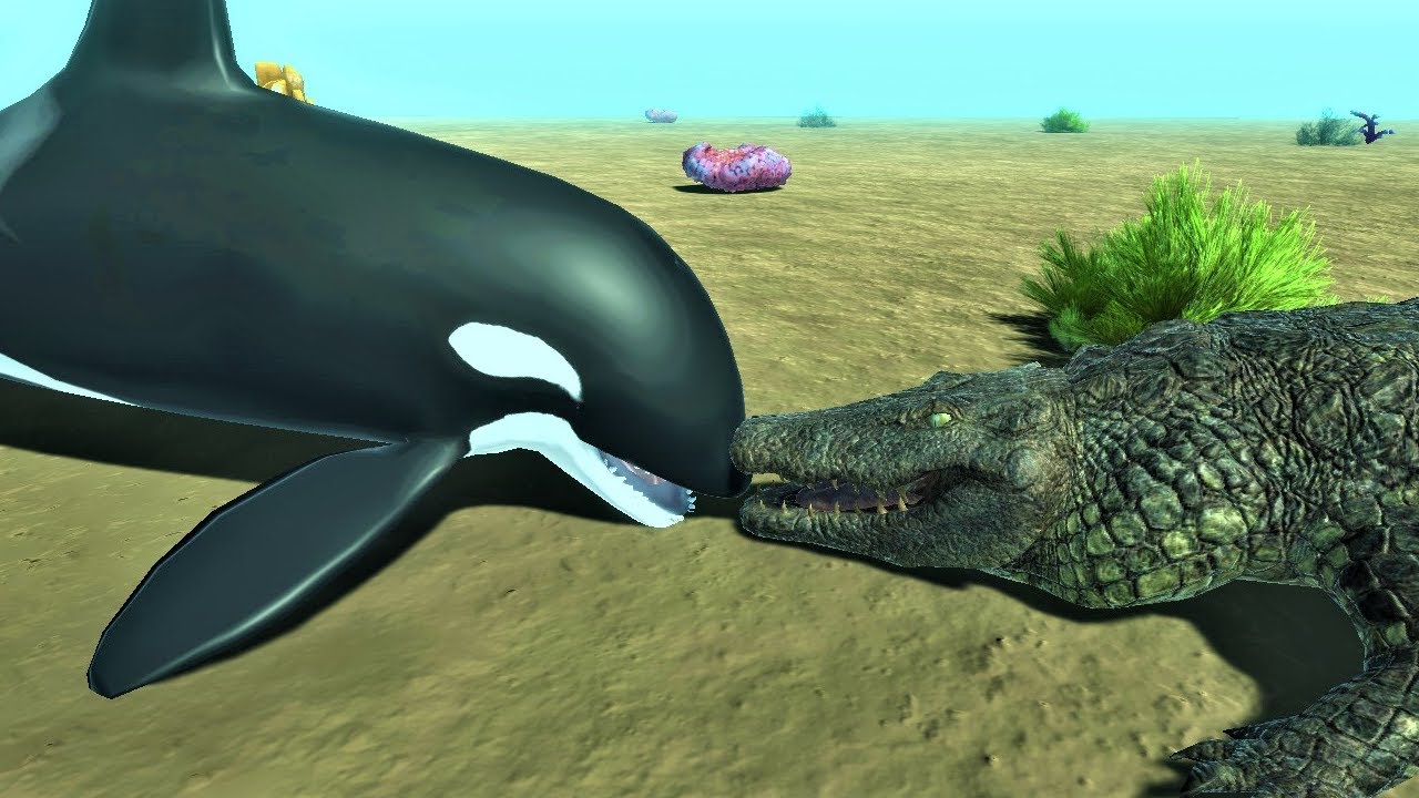 New Unit Striped Orca vs Ferocious Purussaurus - Animal Revolt Battle ...