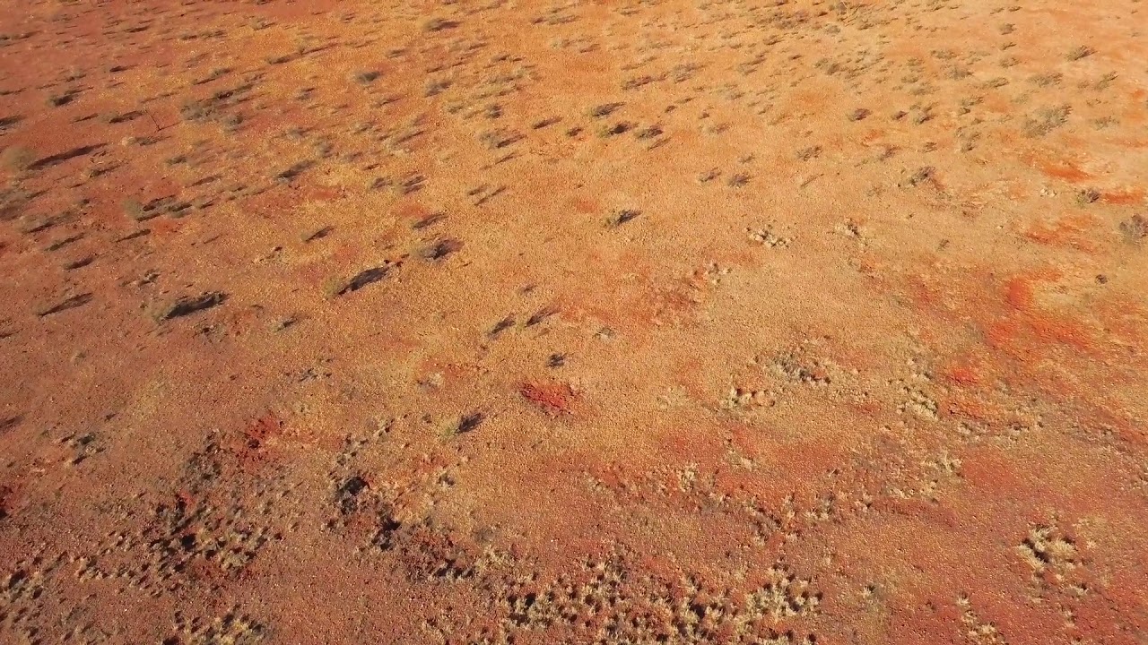 Desert Scrub, South Australia - YouTube