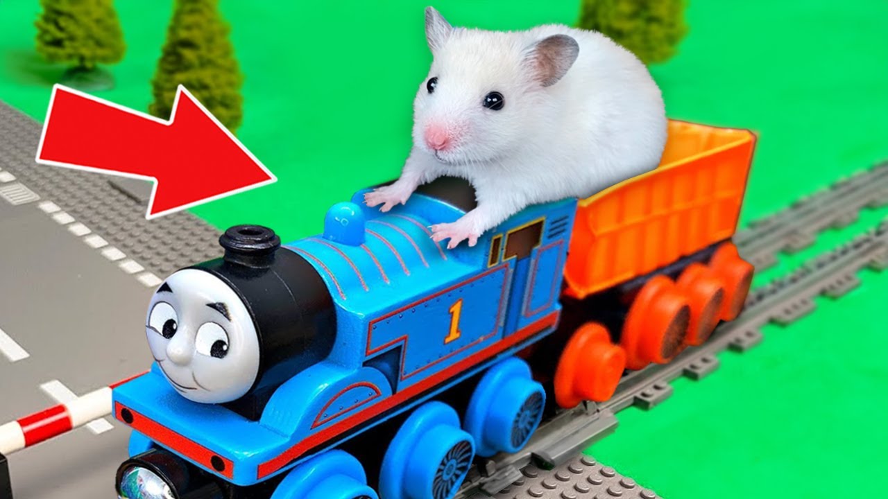 HAMSTER EXPRESS TRAIN JOURNEY | DIY HAMSTER MAZE - YouTube