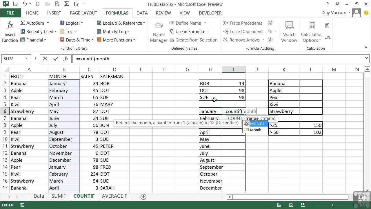 Excel 2013 Advanced: COUNTIF For Selective Counting - Chapter 8 of 128 ...