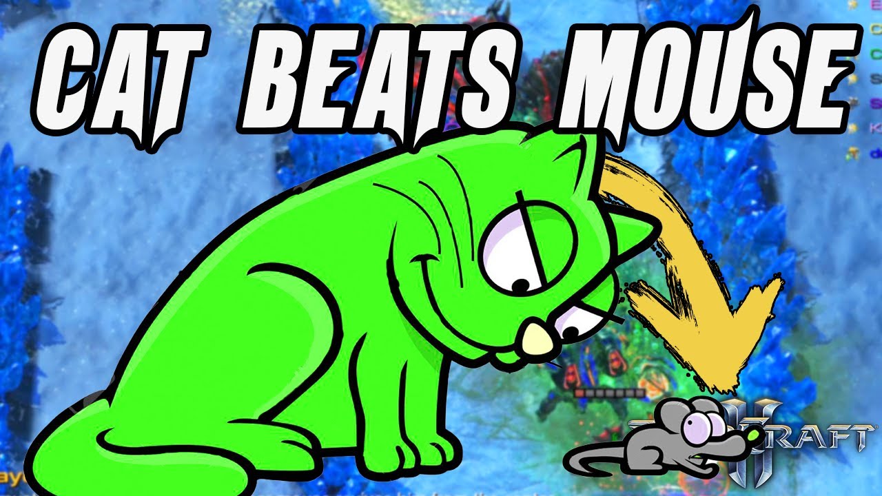 I Become A Cat And Hunt Down Mice In Starcraft 2 Cat And Mouse Arcade ...