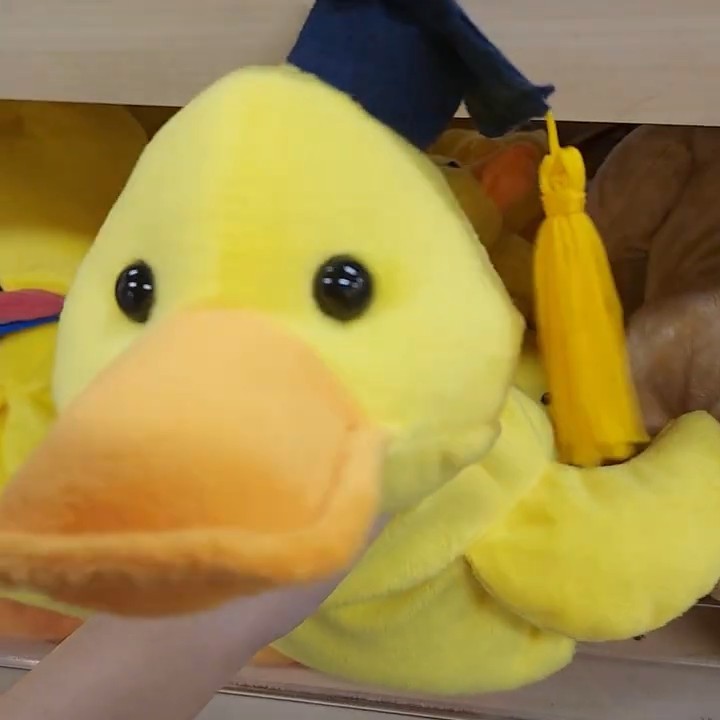 ASMR Soft toy: Buying a Graduation Duck for Daisy Pet Plush - YouTube