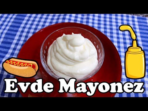 EV YAPIMI MAYONEZ TARİFİ