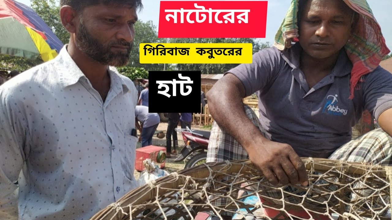 নাটোরের গিরিবাজ কবুতরের হাট _!এই হাটে বিভিন্ন ধরনের পাখি কবুতর পাওয়া ...
